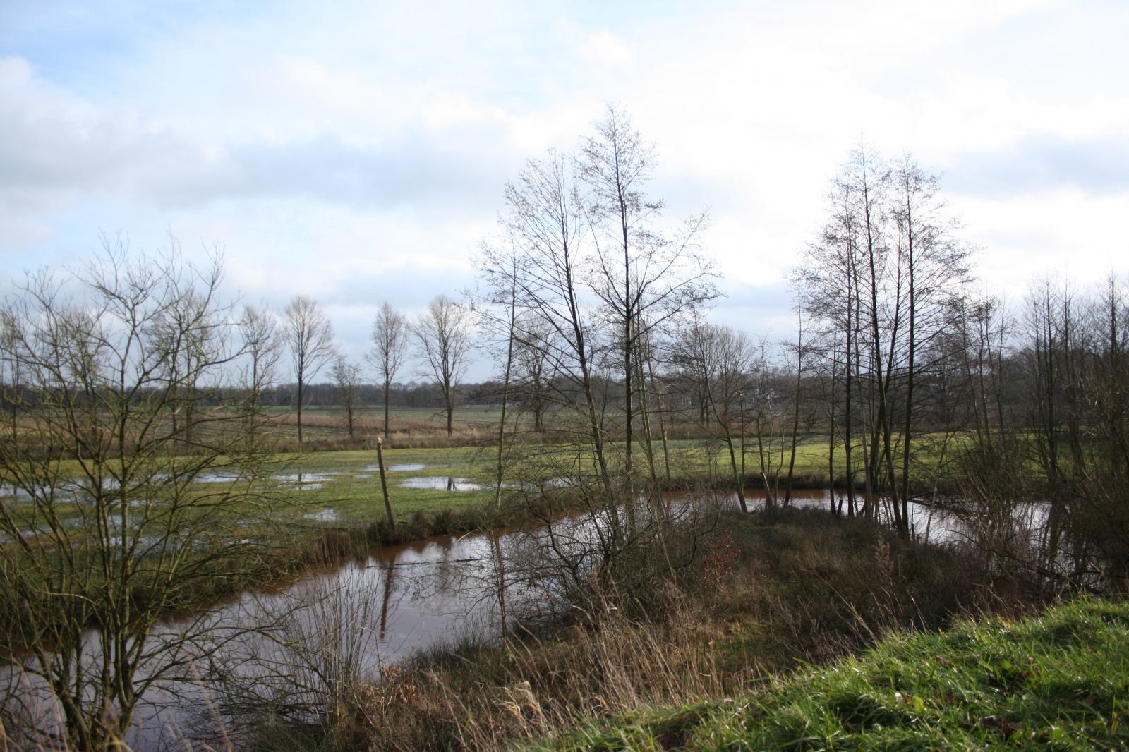 Schetsen aan de Westerwoldse Aa - Natuur en Milieufederatie Groningen