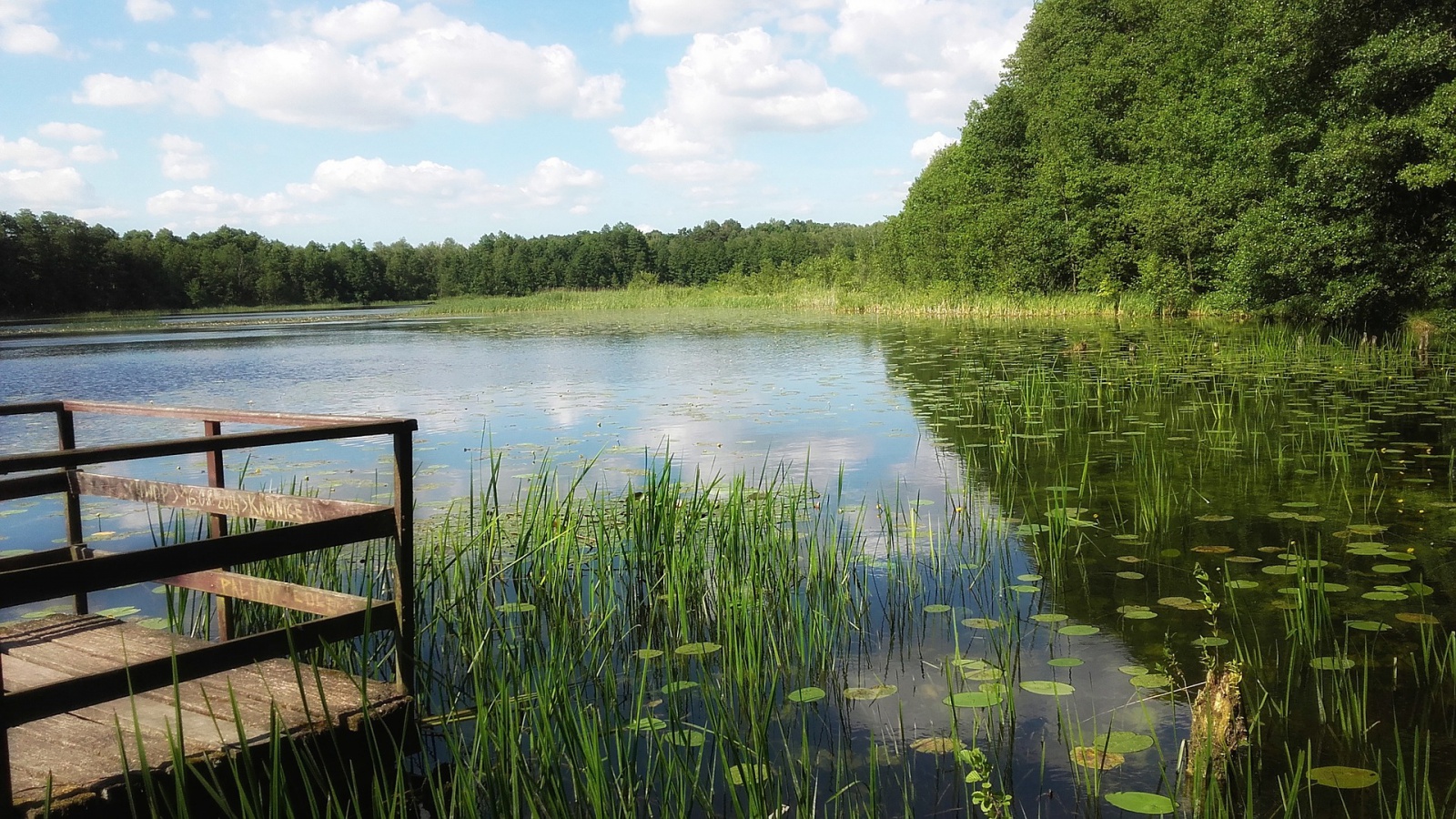 Natuurorganisaties starten campagne voor de bescherming van Europese ...