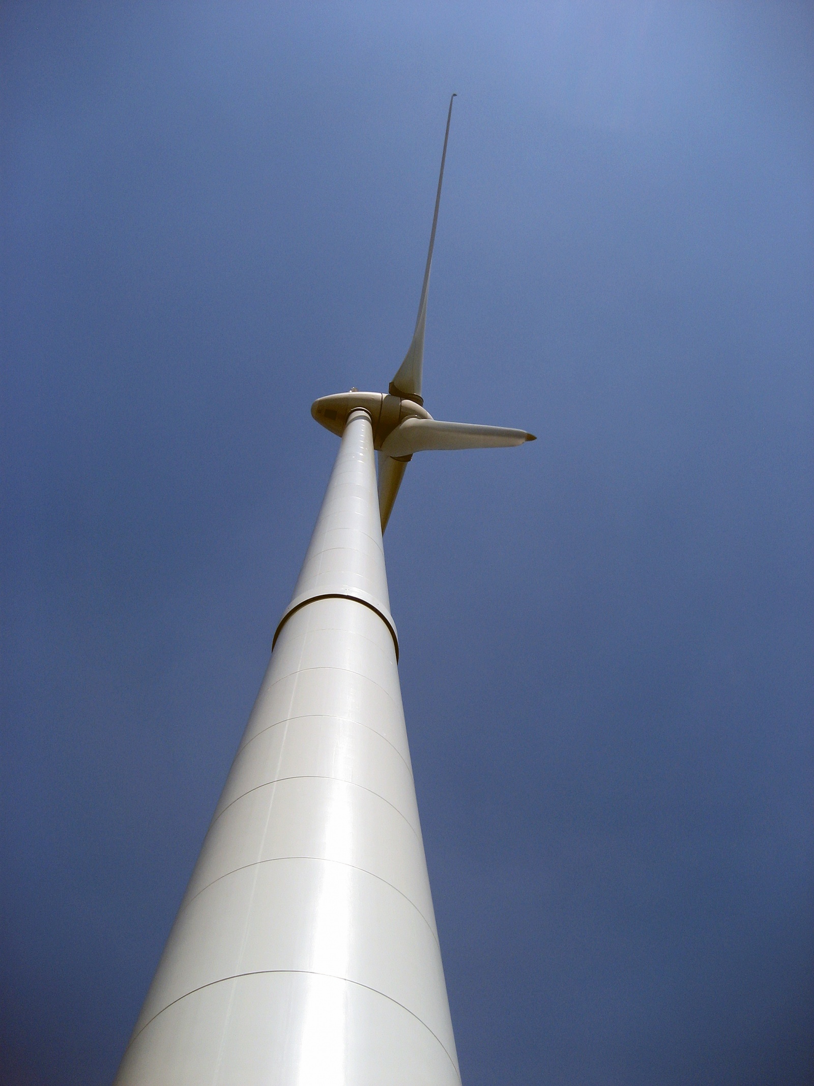 Wind op Zee als Hollands Glorie - Natuur en Milieufederatie Groningen