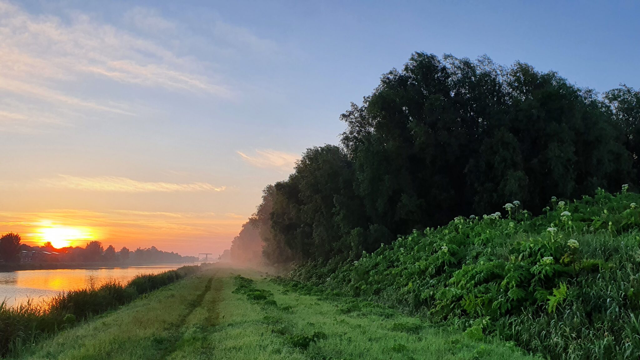 De stadse natuur verdient beter - Natuur en Milieufederatie Groningen