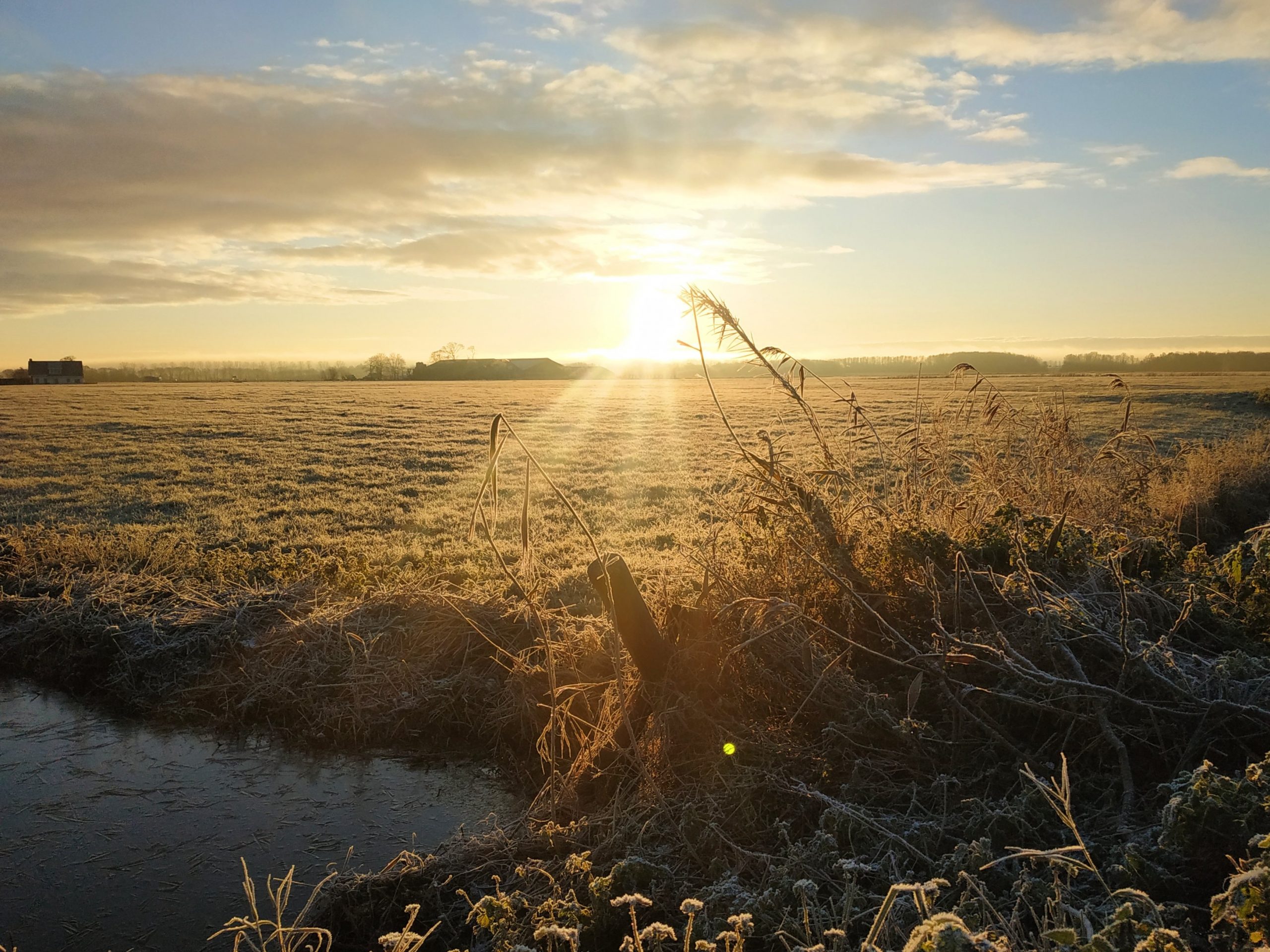 Transitie Landelijk Gebied Groningen - Natuur en Milieufederatie Groningen